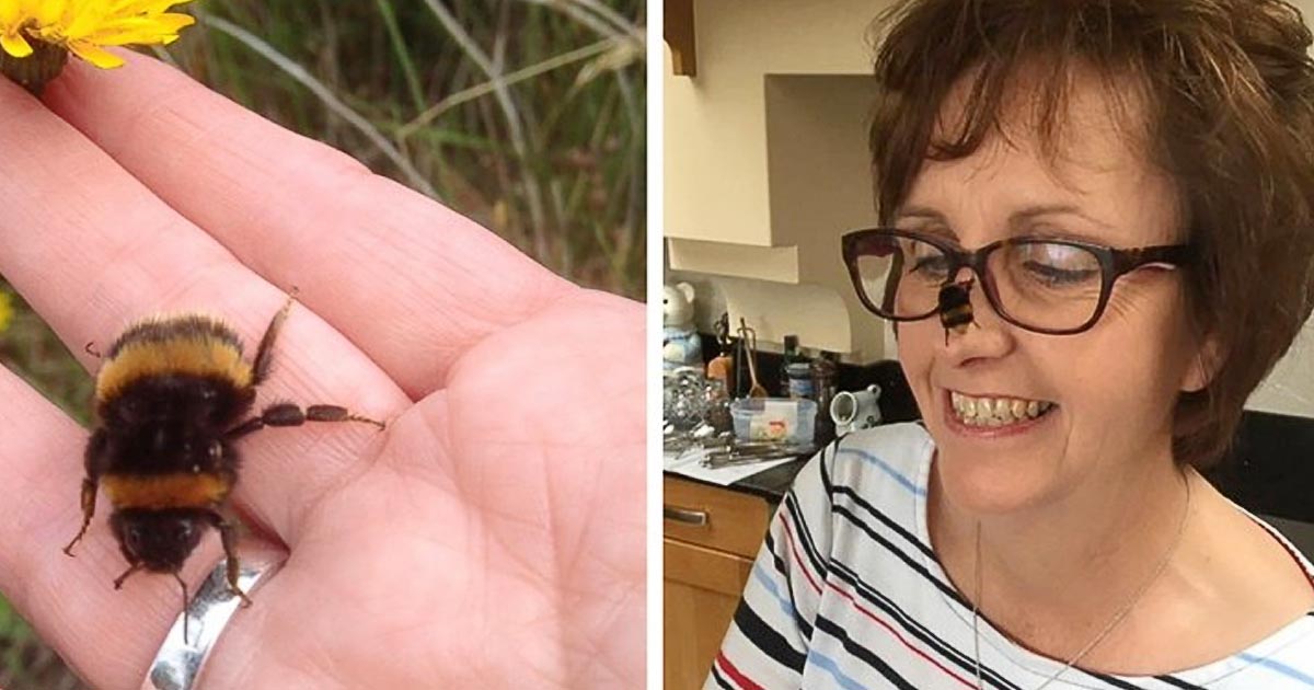 O femeie găseşte un bondar în primejdie... Şi stabileşte cu el o ...