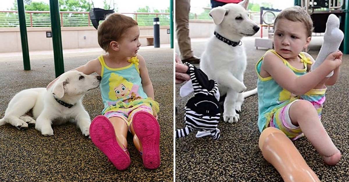 Fetiţa fără picioare primeşte cadou un căţel fără o lăbuţă: „Acesta ...