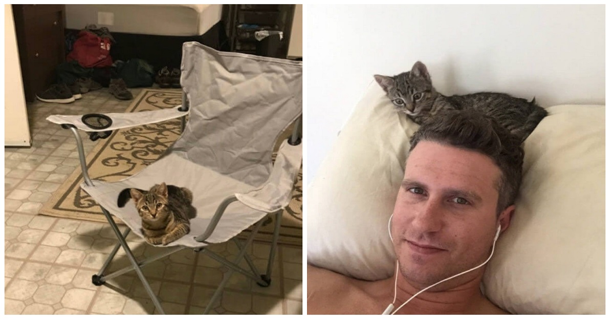 Pisoiul găseşte o casă, intră pe fereastră şi îl adoptă pe omul care ...