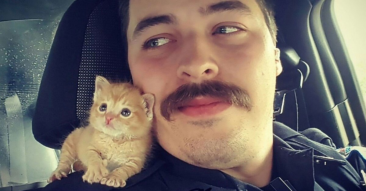 Poliţistul salvează pisoiul abandonat în ploaie şi acum „luptă ...